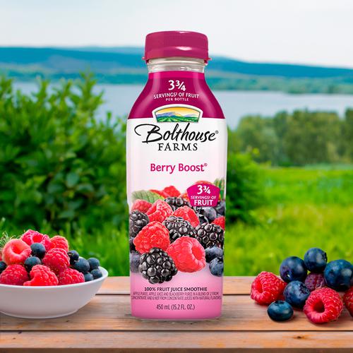 Bolthouse Farms Wild Berry Juice 15.2 oz / 450 ml | Beverages ...